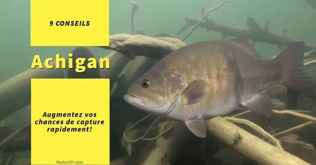 9 Conseils essentielles pour la pêche à l’achigan - Pêche 101