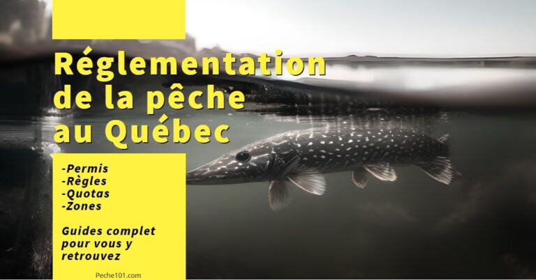 Guide de la réglementation de la pêche au Québec (2025) - Pêche 101