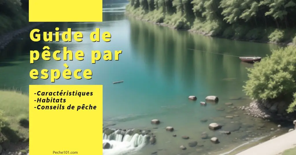 Espèces de poissons – Guide Complet - Pêche 101