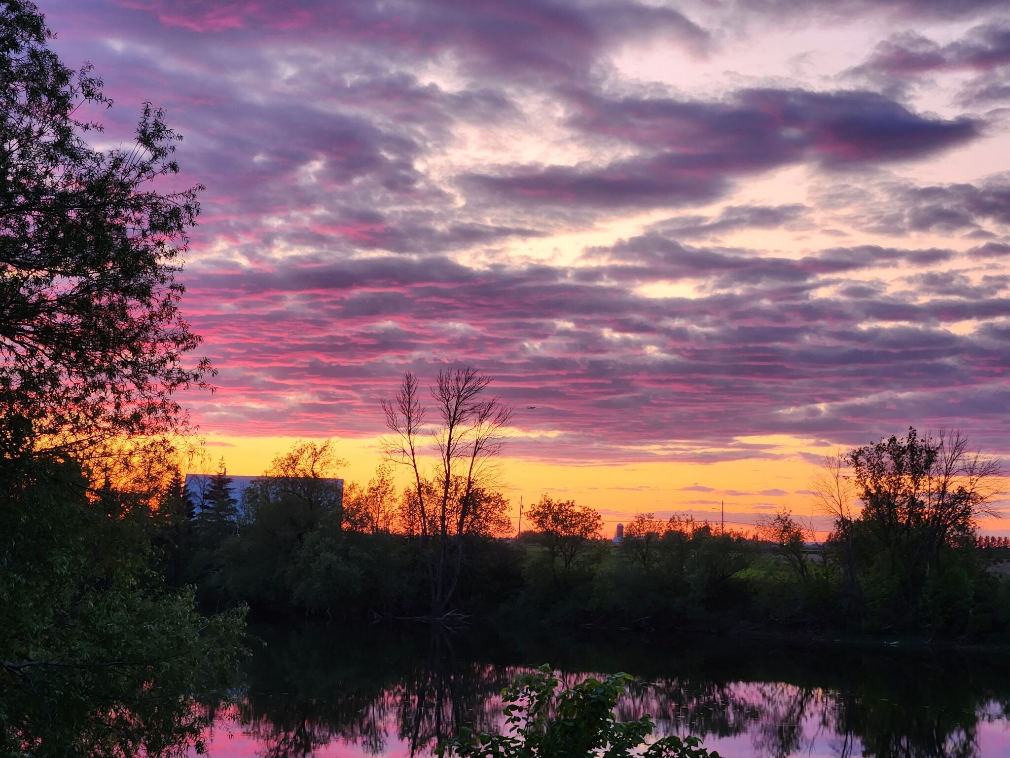 Pêcher au Doré au Québec: Guide Complet (2025) - Pêche 101