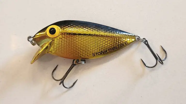 Pêcher au Doré au Québec: Guide Complet (2025) - Pêche 101