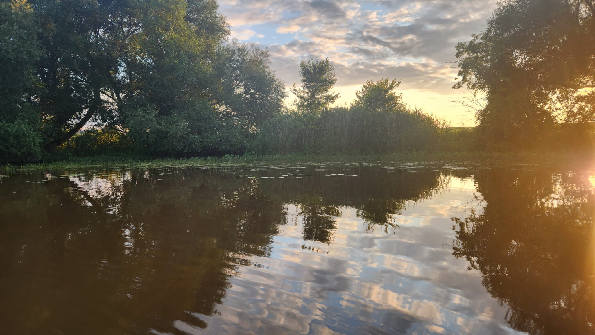 Pêche au Brochet : Guide complet - Pêche 101