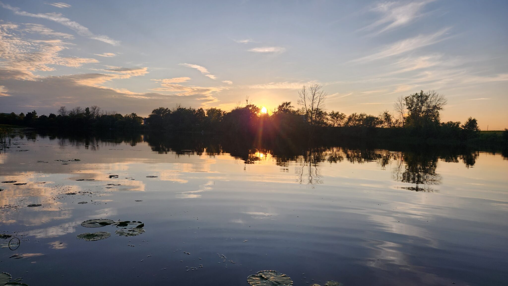 Pêche au Brochet : Guide complet - Pêche 101