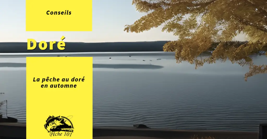 Où pêcher le doré au Québec en 2025 - Pêche 101