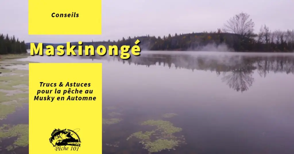Maskinongé vs Brochet : Comment faire la différence? - Pêche 101