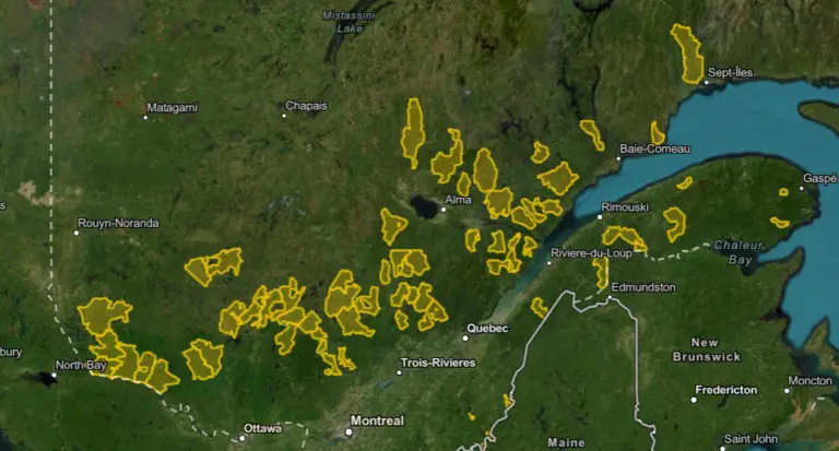 La pêche au Québec en 2025 - Pêche 101